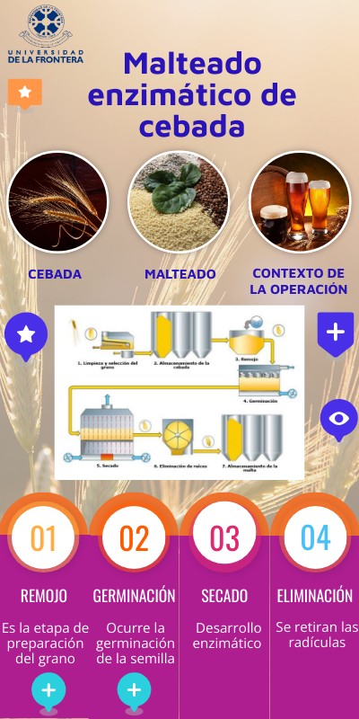 Infografía Malteado enzimático de Cebada | Genially