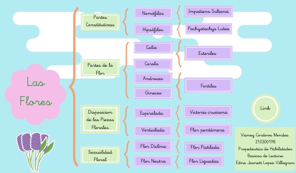 Las Flores | Genially