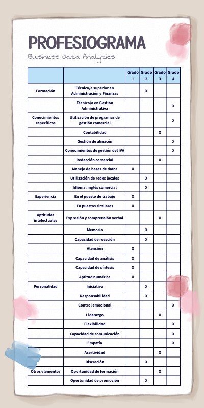 Profesiograma Business Data Analytics