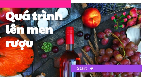 Quá trình lên men rượu | Genially