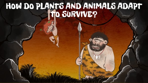ANIMAL & PLANT ADAPTATION | Genially