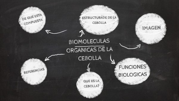 CEBOLLA INFOGRAFIA | Genially