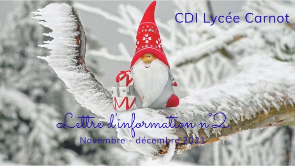 Lettre d'information du CDI n°2