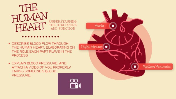 Biology - Human Heart | Genially