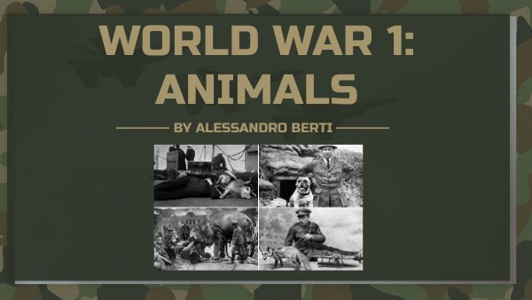 Animals in WW1