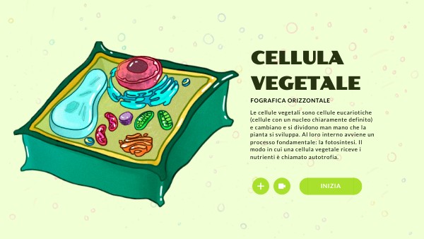 LA CELLULA VEGETALE