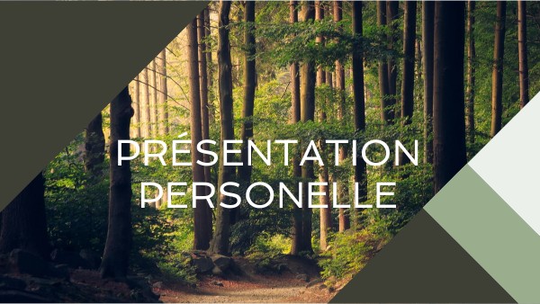 Mon présentation personelle