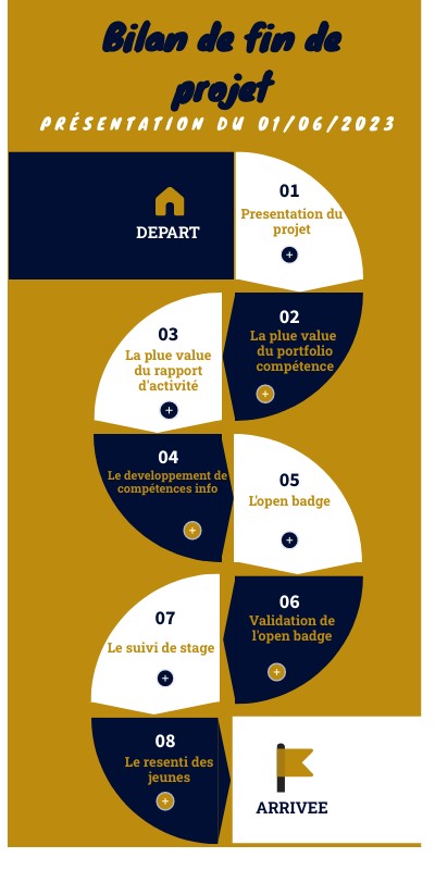 bILAN DE FIN DE PROJET PEDAGOGIQUE