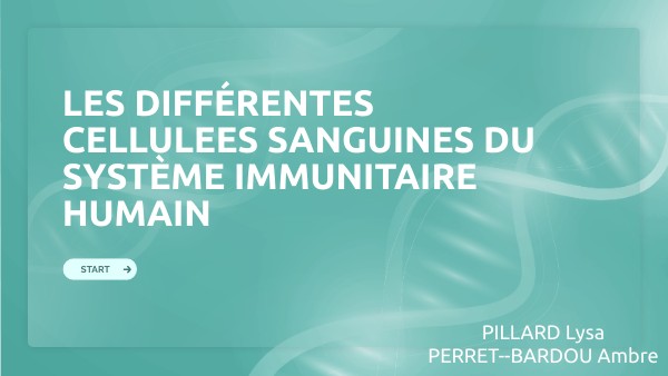 Les cellules sanguines | Genially