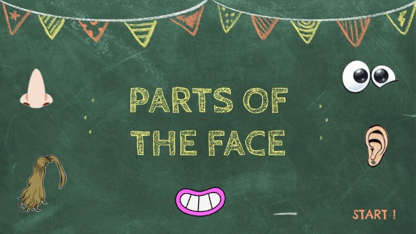 PARTS OF THE FACE