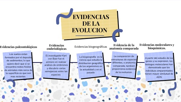 EVIDENCIAS DE LA EVOLUCION