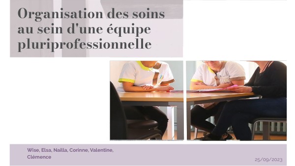 Organisation des soins au sein d'une équipe pluriprofessionnelle