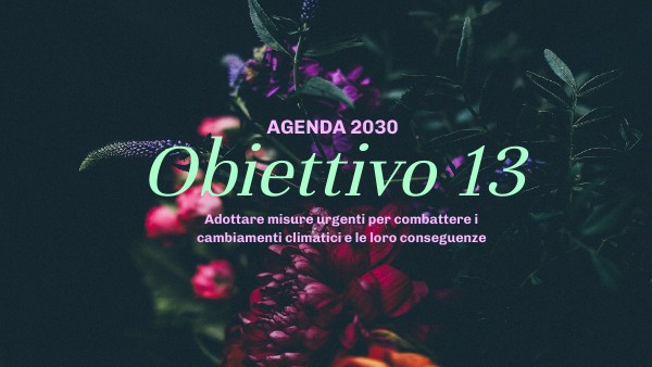 AGENDA 2030 OBIETTIVO 13 FISICA | Genially