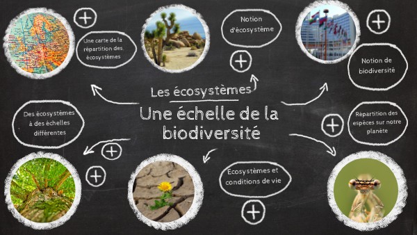 Ecosystèmes , une échelle de biodiversité | Genially