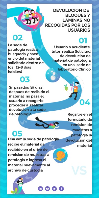 Devolucion de material a patologia | Genially