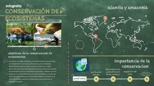 infografia de conservacion | Genially