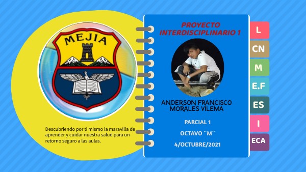 PROYECTO ANDERSON MORALES VILEMA