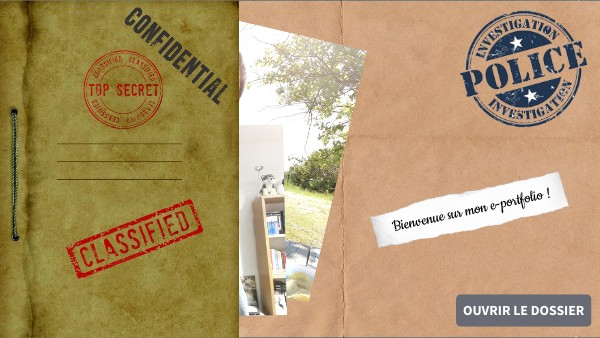 E-PORTFOLIO ROCHE JULIAN