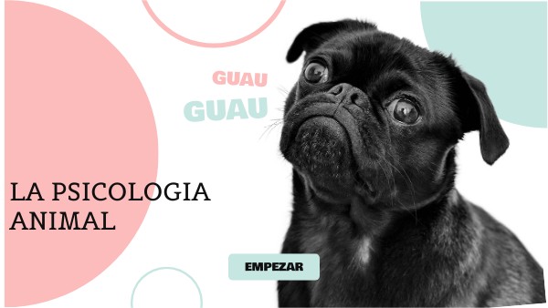 PRESENTACIÓN PSICOLOGIA ANIMAL | Genially