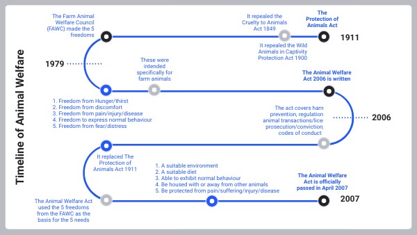 The Animal Welfare Act | Genially