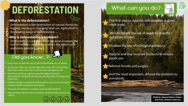 Deforestation | Genially