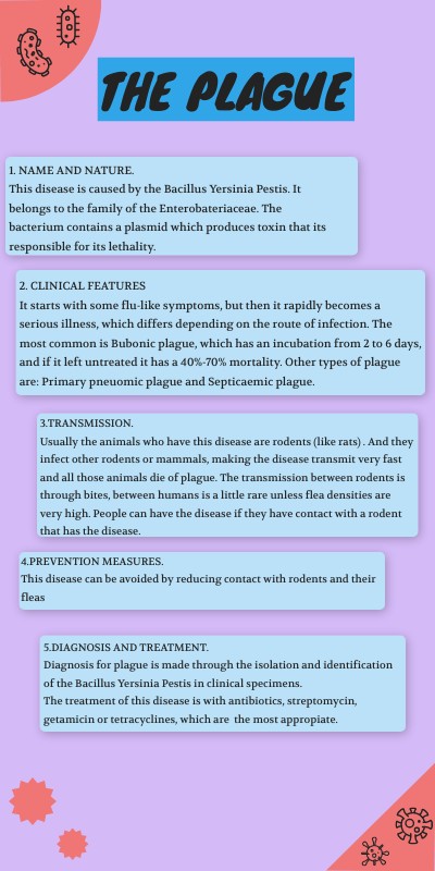 The Plague | Genially