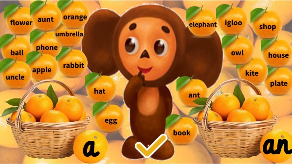 a/an,some any | Genially