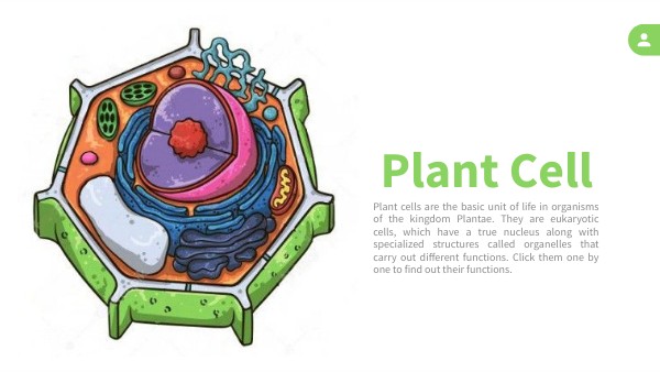 Interactive cell poster
