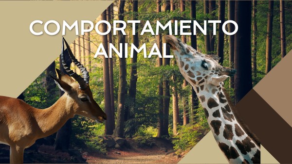 Comportamiento animal | Genially