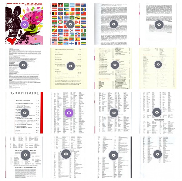 Poster Interactif du PetitLarousse Illustré 2005 | Genially