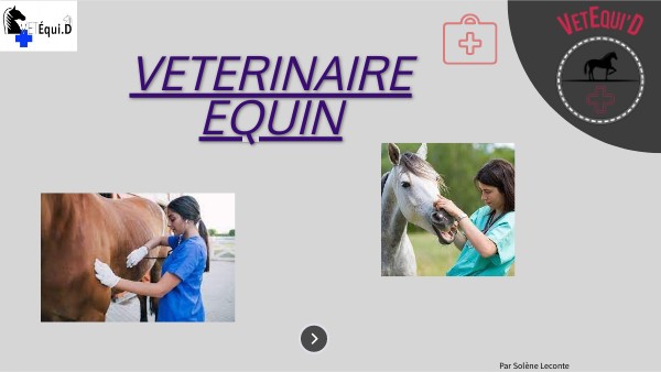 Vétérinaire équin