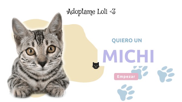 PRESENTACIÓN MICHIS | Genially