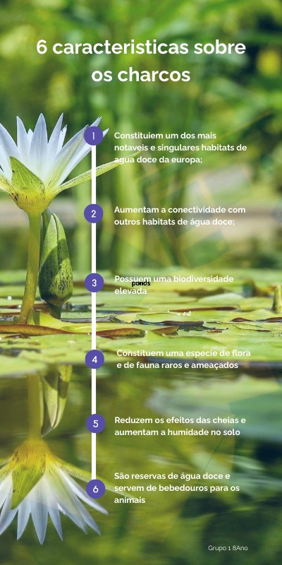 TWITTER VERTICAL PROCESS | Genially