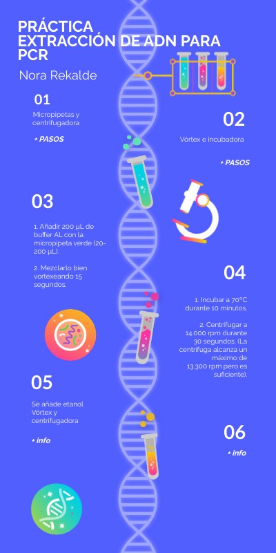 EXTRACCIÓN DE ADN PARA PCR- Timeline | Genially