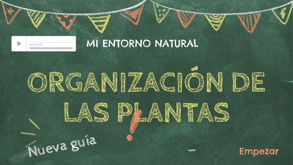 MÓDULO DIDÁCTICO ORGANIZACION DE LAS PLANTAS | Genially