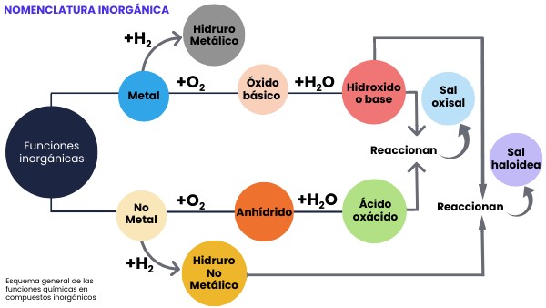Esquema Básico de las Reacciones Inorgánicas | Genially
