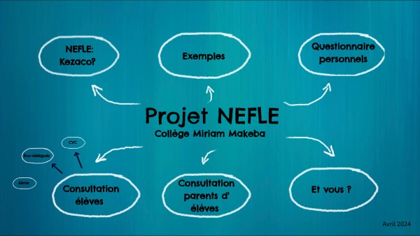 projet_NEFLE-Makeba