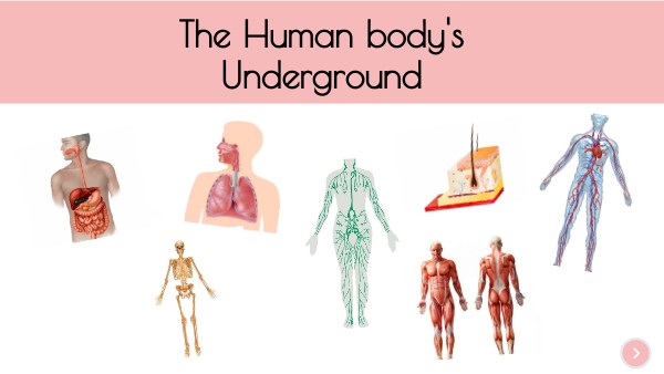 The human body's underground