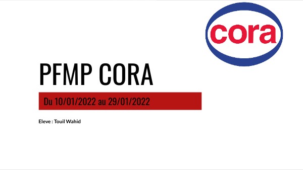 Présentation PFMP 1 Touil Wahid