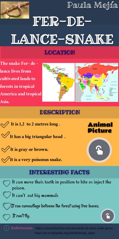 Fer- de -lance- snake PAULA MEJIA PRESENTATION | Genially