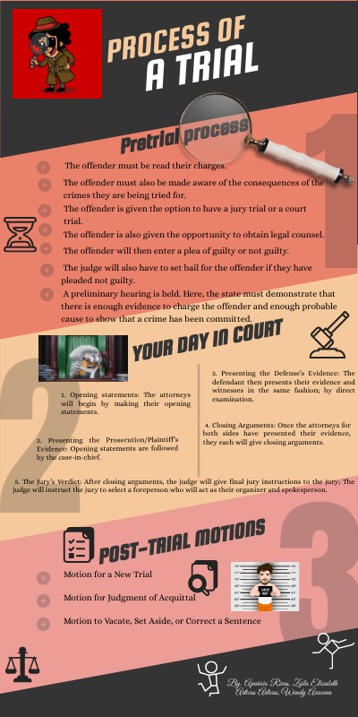 Process of a Trial | Genially