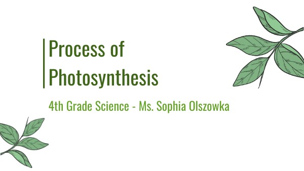Interactive Photosynthesis | Genially