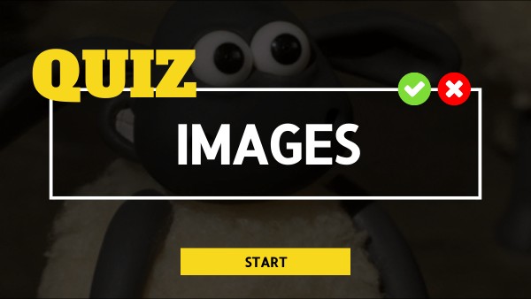 IMAGES QUIZ