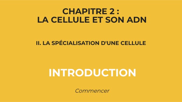 La spécialisation cellulaire | Genially