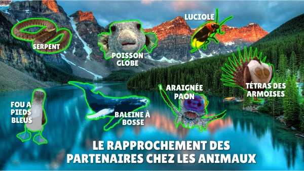 Rapprochement | Genially