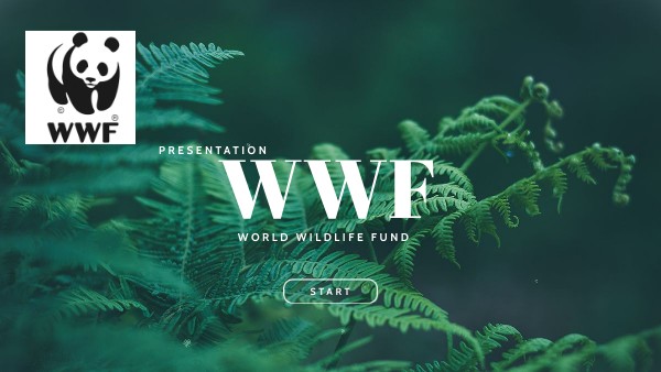 WWF Tom V Et Noann S
