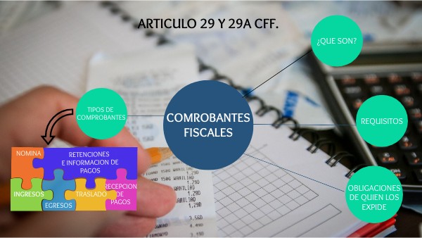 ART 29 Y 29A CFF. | Genially