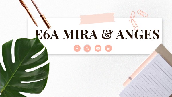 E6 Partenaires | Genially