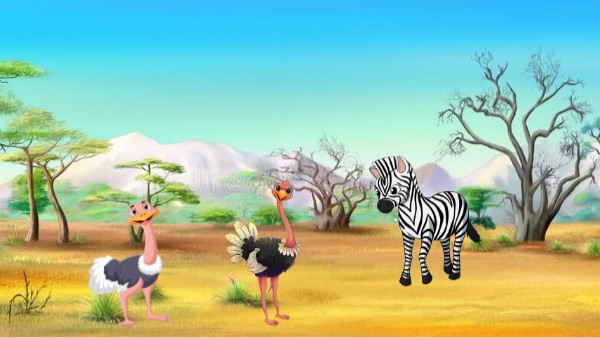 Chapter 4 | Genially