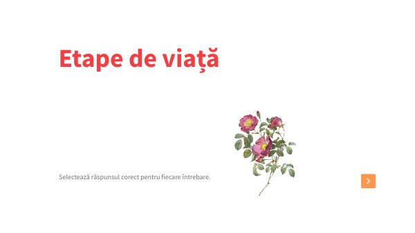 Etape de viață | Genially